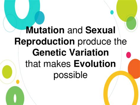 Mutation And Sexual Reproduction Produce The Genetic Variation