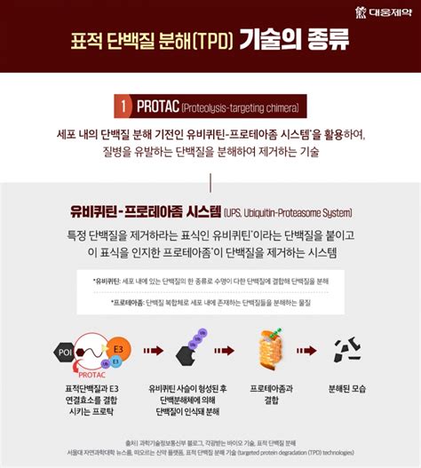 신약 개발의 새로운 방식 표적 단백질 분해 TPD 기술 대웅제약 뉴스룸