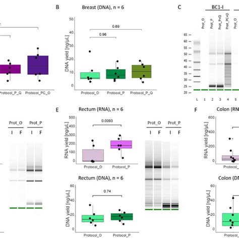 Optimization Of Total Rna And Dna Extraction Protocol A Comparison Download Scientific
