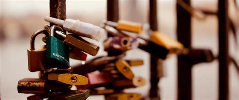 Hamed Salameh Dev Community