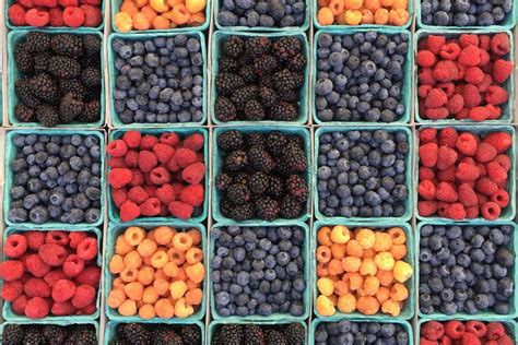 Different Types Of Berries