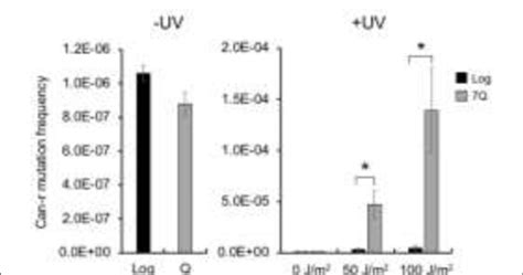 Quiescent Cells Have An Increased Frequency Of Uv Induced Mutations