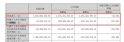 中洲控股上半年归母净亏损196997万元，销售同比有所回升项目房地产深圳市