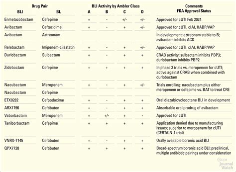 Innovative Pairing Of Beta Lactamase Inhibitors To Combat Multidrug Resistant Gram Negative