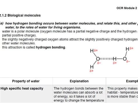 OCR A A Level Biology Module 2 Revision Notes Pdf Teaching Resources