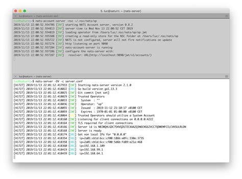 Secure Pubsub With Nats Setting Up A Nats Server With Tls And By