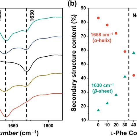 A Ftir Spectra Recorded For Peg45 B Pdl Phe10 Copolymer
