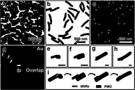 Nanogold Mesoporous Silicon Dioxide Composite Material And Preparation Method Thereof Eureka