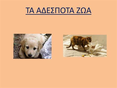 Τα αδέσποτα ζώα Pptx