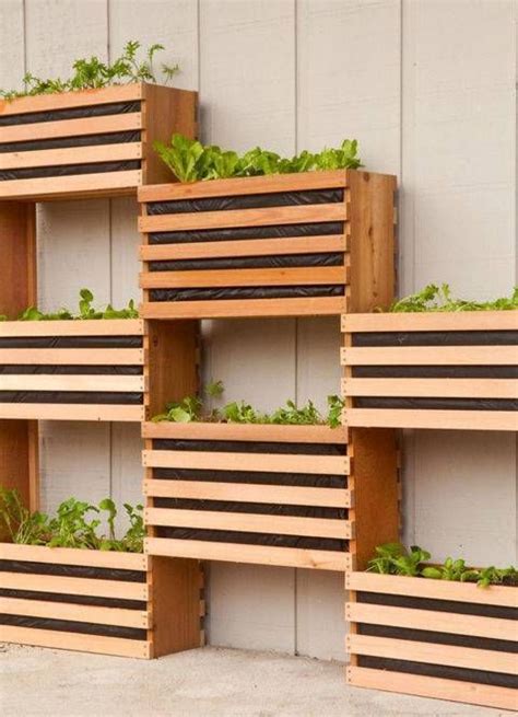 Cómo hacer un huerto ecológico vertical paso a paso El Horticultor