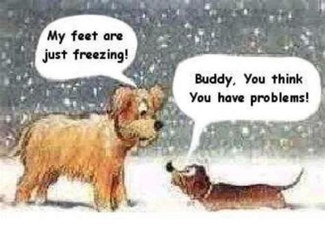 Its So Cold Funny Quotes Quotesgram
