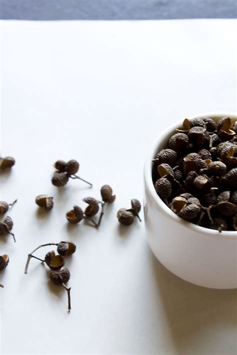 Teppal Spice Sichuan Pepper Know More About Sichuan Pepper Flavors