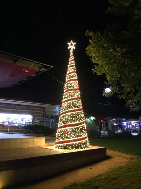 Giant Outdoor Christmas Trees Commercial Christmas Services