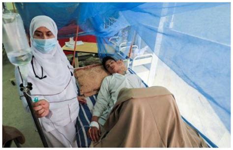 Dengue In Karachi Claims 7 Lives Oyeyeah