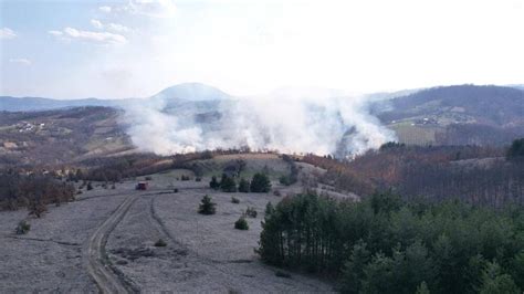 Gorela trava i četinarska šuma u selu Gostilje Vatra zahvatila