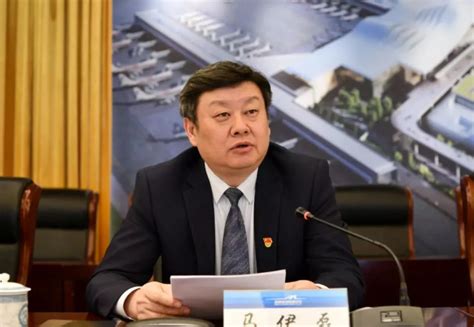 新疆维吾尔自治区党委副秘书长马伊磊，主动投案