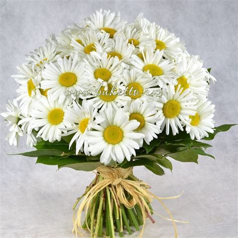 Картинки по запросу ромашки полевые букет | Bouquet, Daisy, Table ...