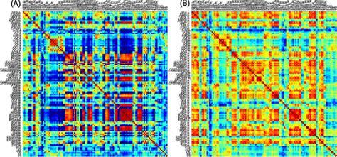 The Functional Co Variance Network Matrix Based On The Arterial Spin Download Scientific