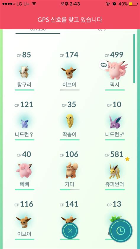 오늘 잡은 포켓몬 인스티즈 Instiz 일상 카테고리