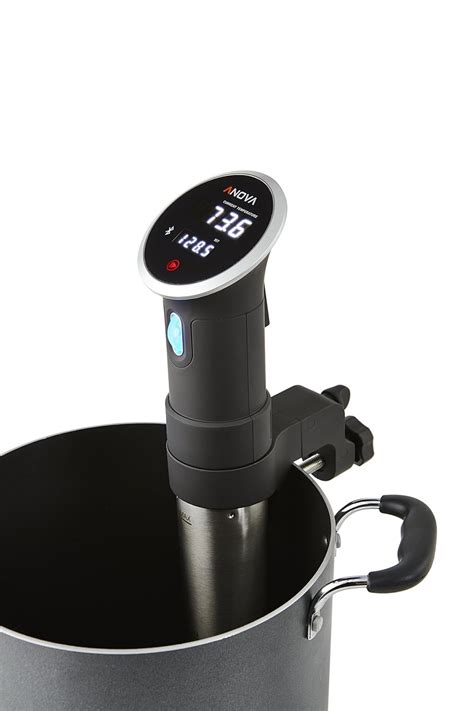 Anova Immersion Cooker Chef Mark Sylvester