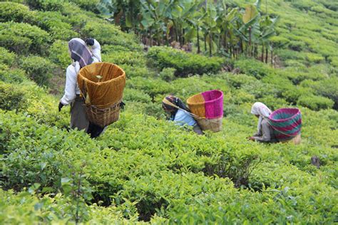 Empowering Women Entrepreneurs In India