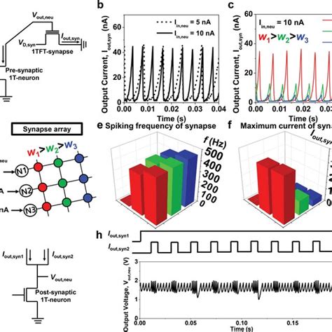 Coupled Neuromorphic Operation Of 1tft‐synapses At The Top And