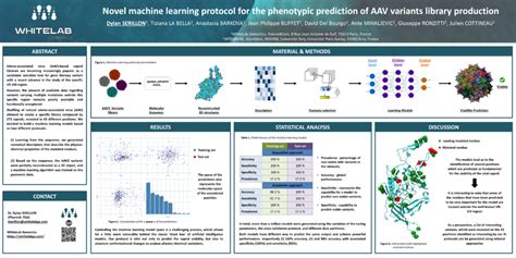 Novel Machine Learning Protocol For The Phenotypic Prediction Of Aav