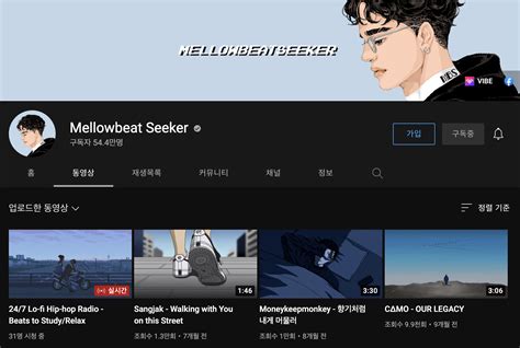 유투브 채널 추천 12가지 개발 취향