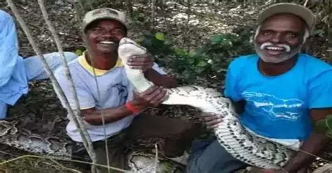 Tamil Nadu Snake Catchers అగరరజయ సమసయక పరషకరనన చప పదమ