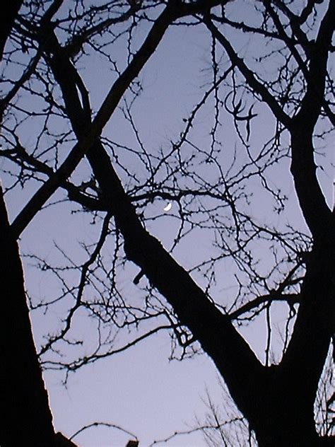 Moon Mbk Marjie Flickr