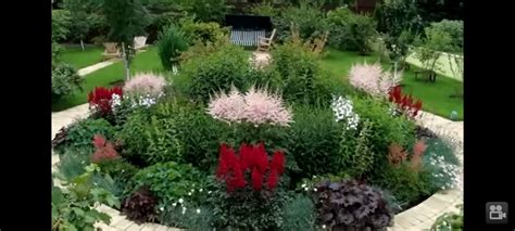 Как красиво посадить растения на участке 75 фото красивые картинки и Hd фото