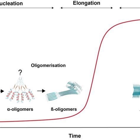 Steps Of Amyloid β Aggregation Illustration Of Putative Nucleation