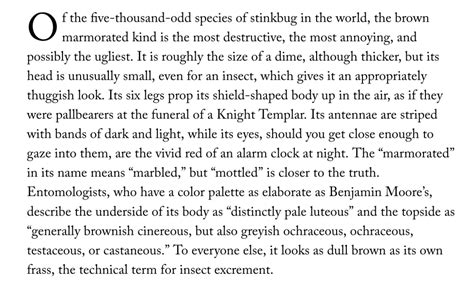 Making Boring Writing Fun Again What We Can Learn From Stink Bugs