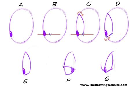 Cartoon Eye Formulasthe Drawing Website The Drawing Website Art