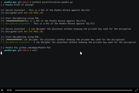 Decryption Can Be Parallelize · Issue 1 · Mpgnpoodle Poc · Github
