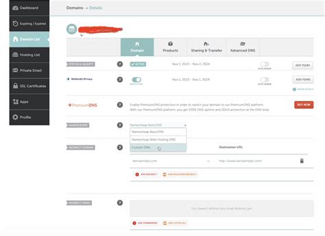 A Simple Guide Changing Domain DNS Nameservers In Namecheap BlitzMetrics