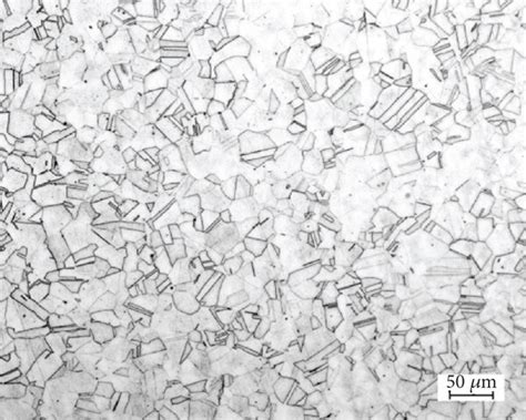 Om Microstructure Of A A106b And B 304l Ss Download Scientific Diagram