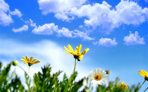 Beautiful Day Wallpaper ·① Wallpapertag