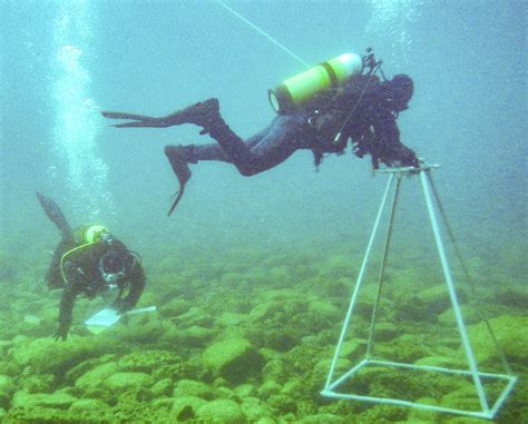 Journal Kicks Off Its 50th Year With Issue 501