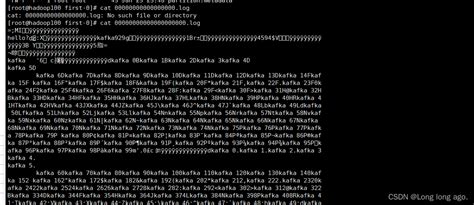 Kafka入门，文件存储机制（十六）kafka Log文件 Csdn博客