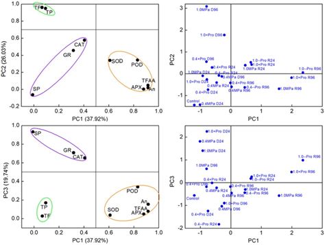 A C Pc1 Pc2 And Pc1 Pc3 Variables Loading Plots B D Pc1 Pc2 And