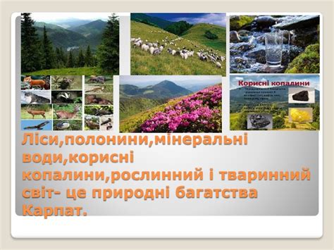 Урок презентація Природні зони України