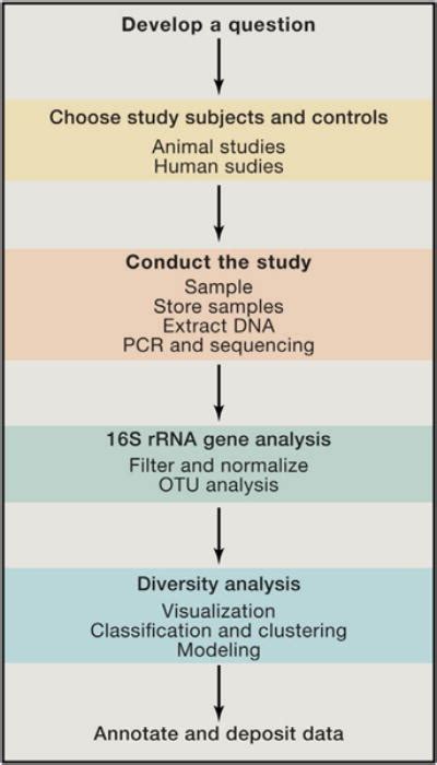 Conducting A Microbiome Study Abstract Europe PMC