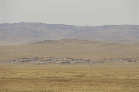 Төв аймгийн нийт нутгийн 80 орчим хувьд Үлийн цагаан оготно тархжээ