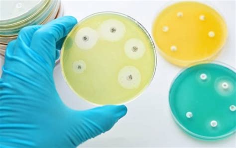 Chitosalid Cos Usda Sgs Chitosanchitin