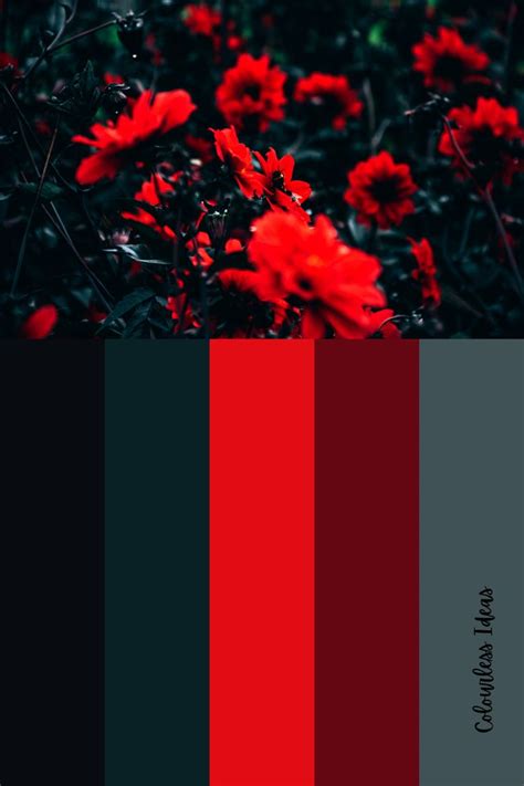 Reddish Flora Dark Color Palette What Color Compliments Red Black