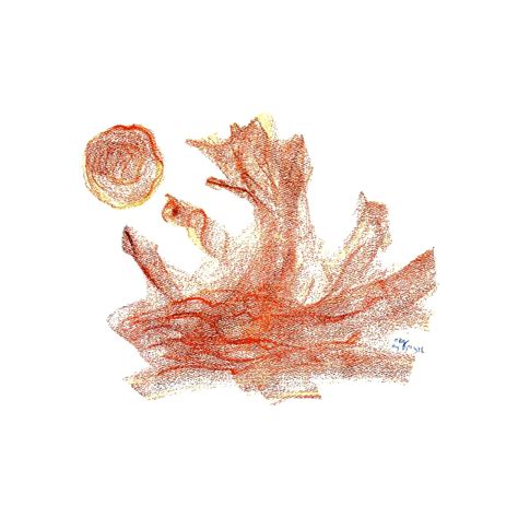 Шри Чинмој Центар