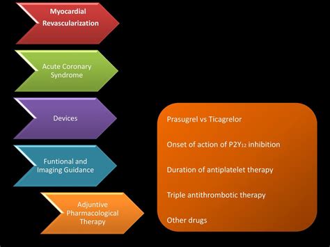 University Hospital Careggi Ppt Download