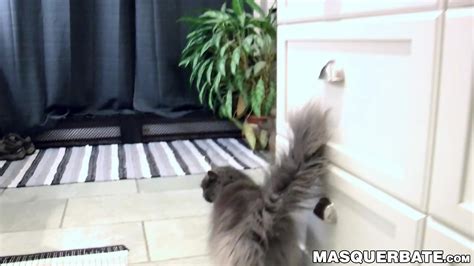 Handsome Homo With Muscular Body Solo Masturbates