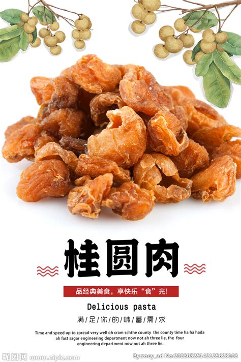 桂圆肉海报设计图 海报设计 广告设计 设计图库 昵图网